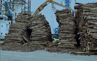 Safety Alert: Timber stacking in ports - ICHCA International